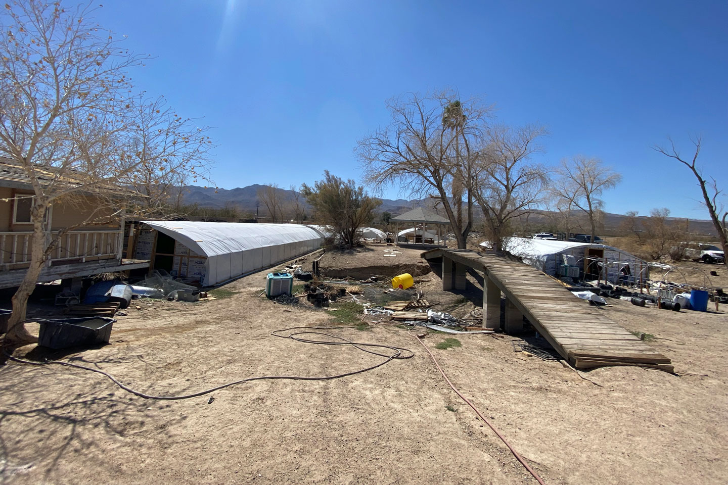 Nearly 30,000 Marijuana Plants Seized From 31 Locations In Third Week ...